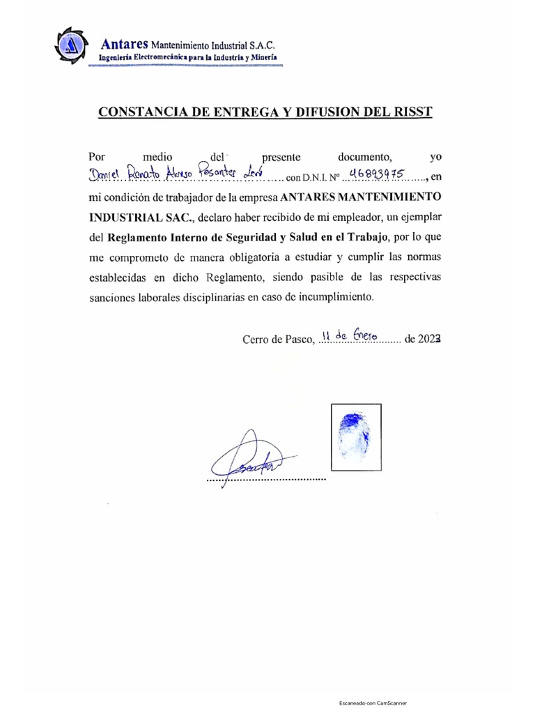 Constancia Entrega de Rit y Risst | PDF