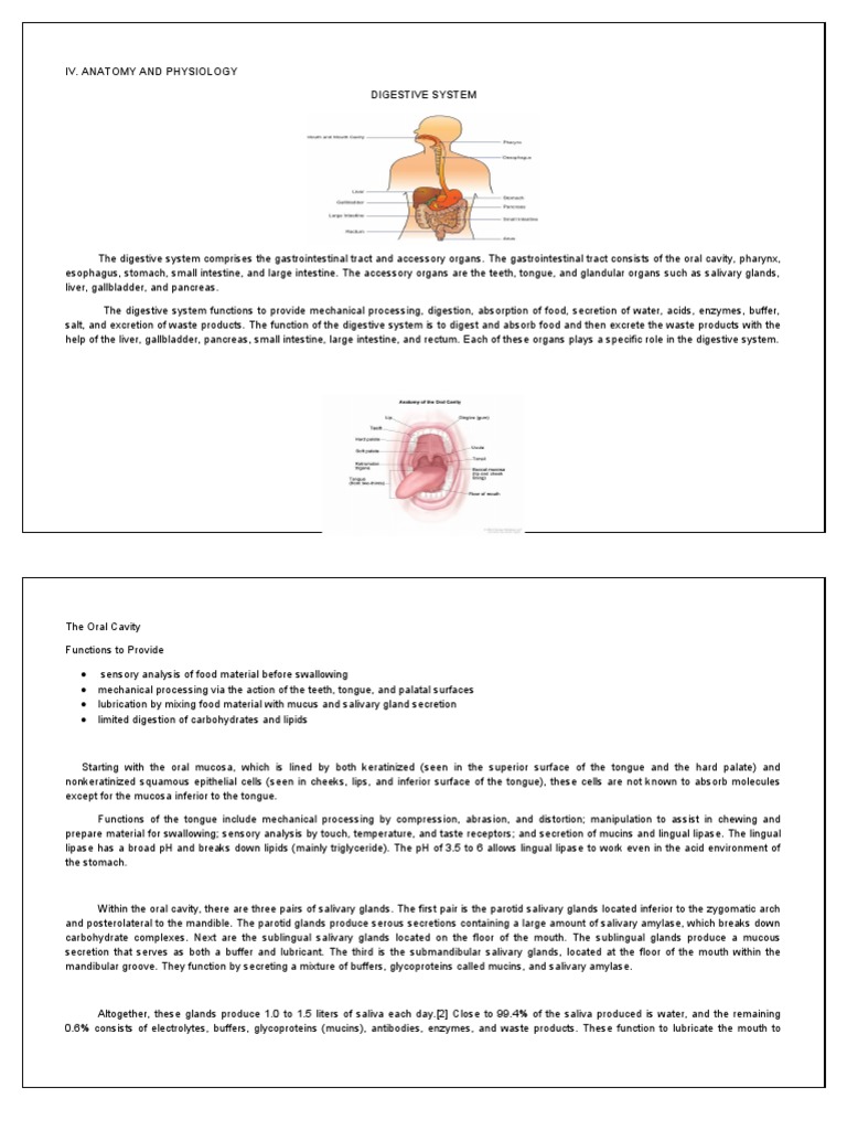Digestive System Anatomy & Physiology | PDF | Human Digestive System ...