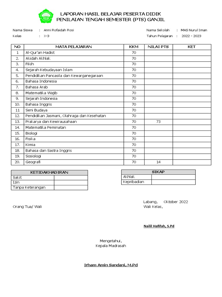 Format Raport Sisipan PTS | PDF