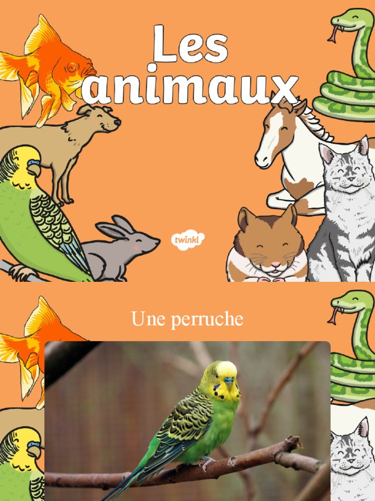 Les Animaux | PDF