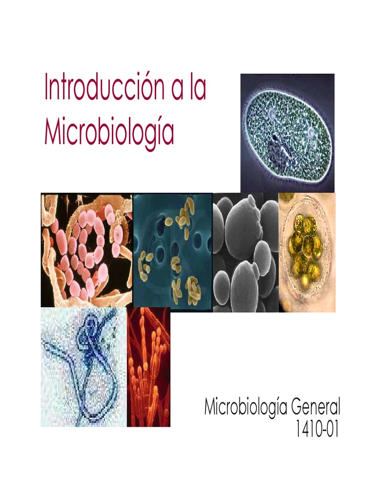 Introduccion - A - La - Microbiologia | PDF | Microbiología | Biología