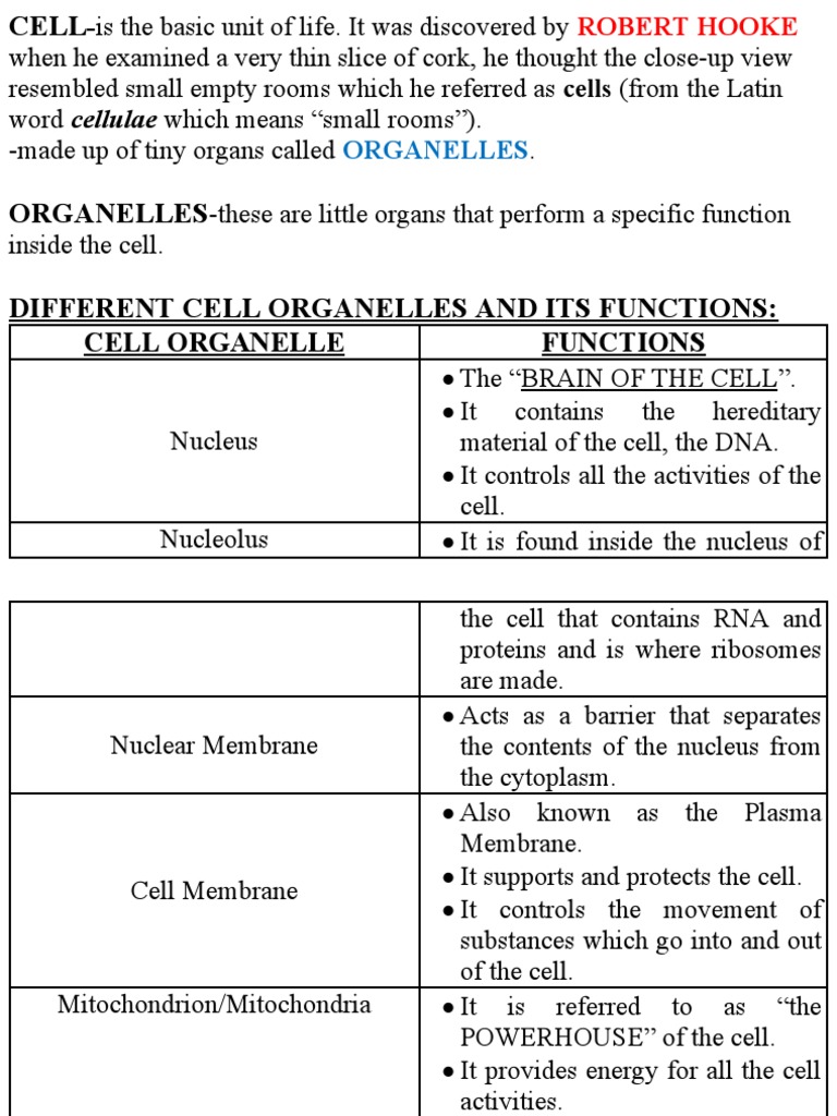 CELL Organelles | PDF | Cell (Biology) | Endoplasmic Reticulum