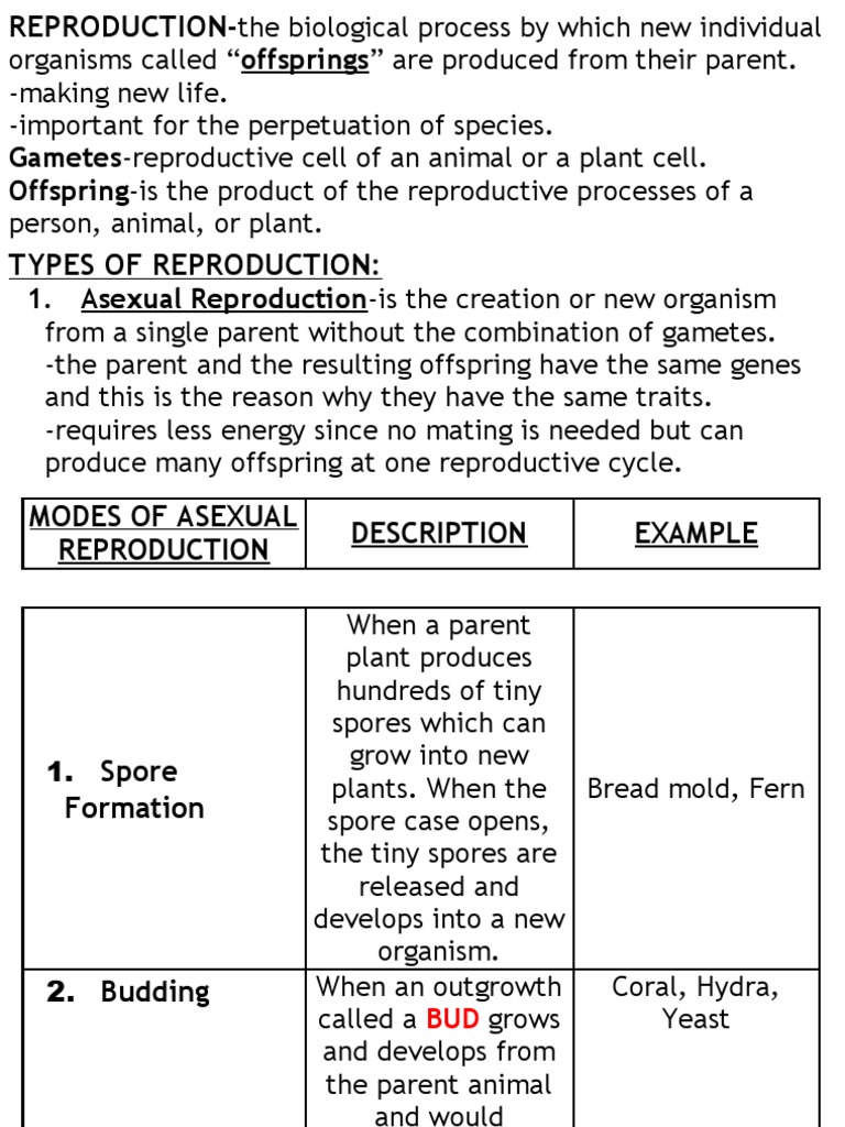 REPRODUCTION | PDF | Reproduction | Biological Processes