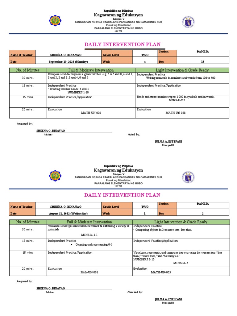 Daily Intervention Plan Final | PDF