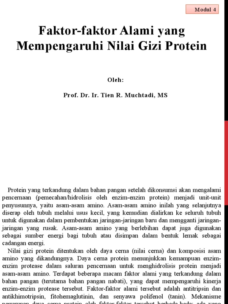 #4materi 4 Faktor-Faktor Alami Yang Mempengaruhi Nilai Gizi Protein ...