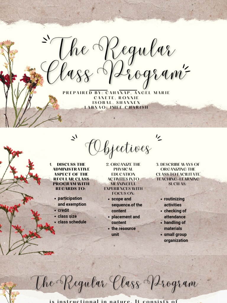 The Regular Class Program | PDF | Curriculum | Physical Education