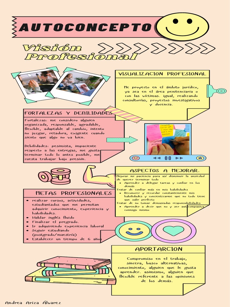 Vision Profesional | PDF