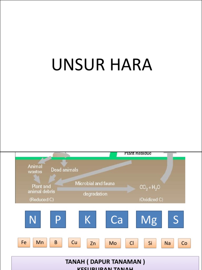 Unsur Hara | PDF