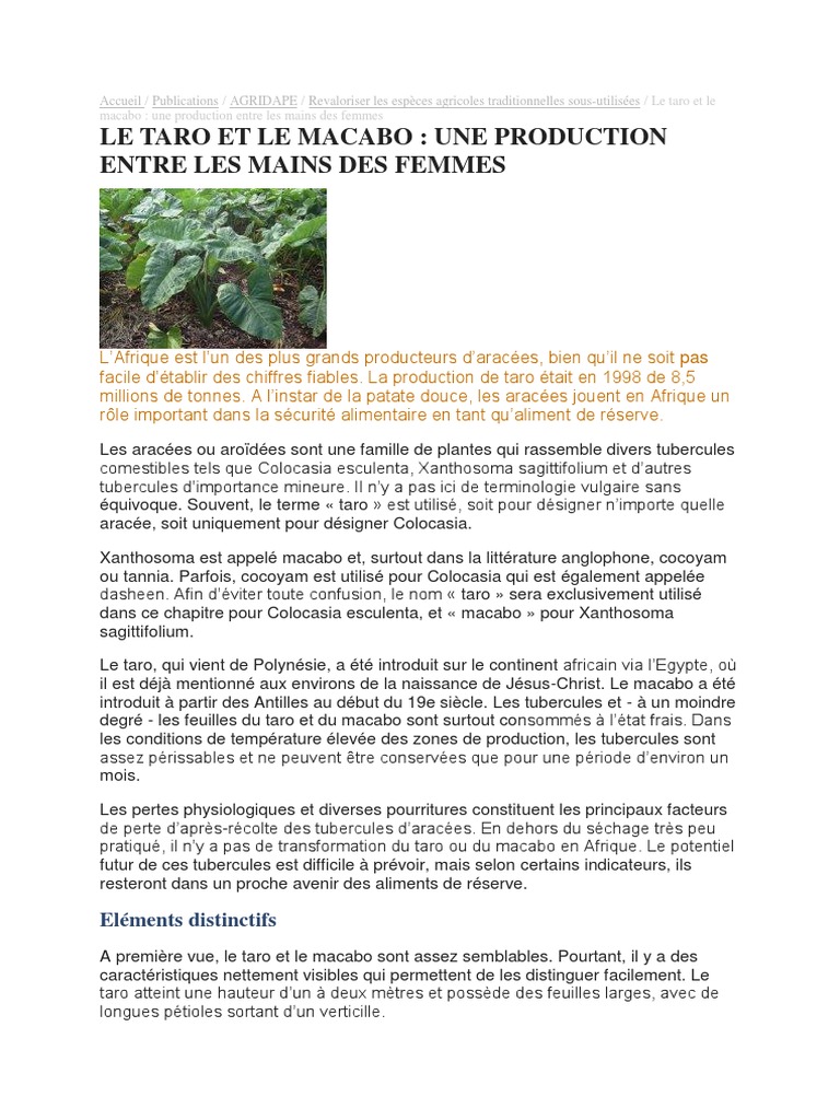 Taro et Macabo : Production Féminine en Afrique | PDF | Cultures ...