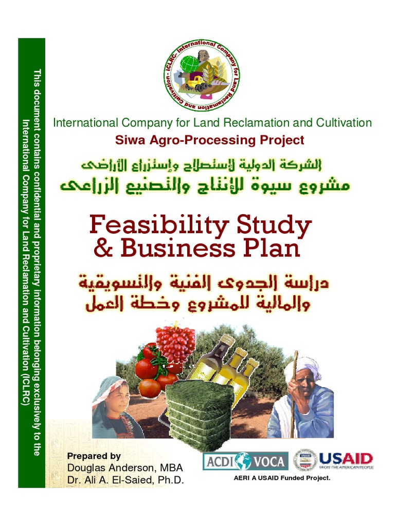 Feasibility Study & Business Plan (PDFDrive) | PDF | Dividend | Egypt
