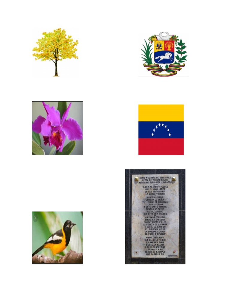 Simbolos Naturales y Patrios de Venezuela | PDF