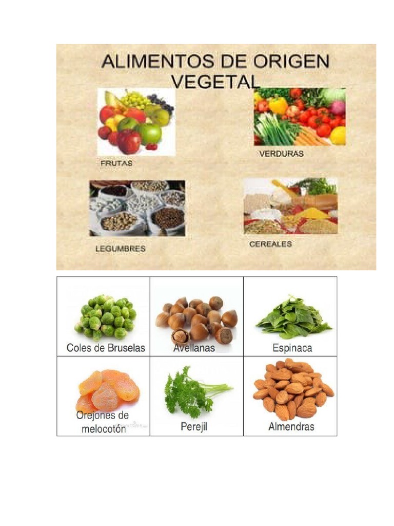 Alimentos de Origen Animal y Vegetal | PDF