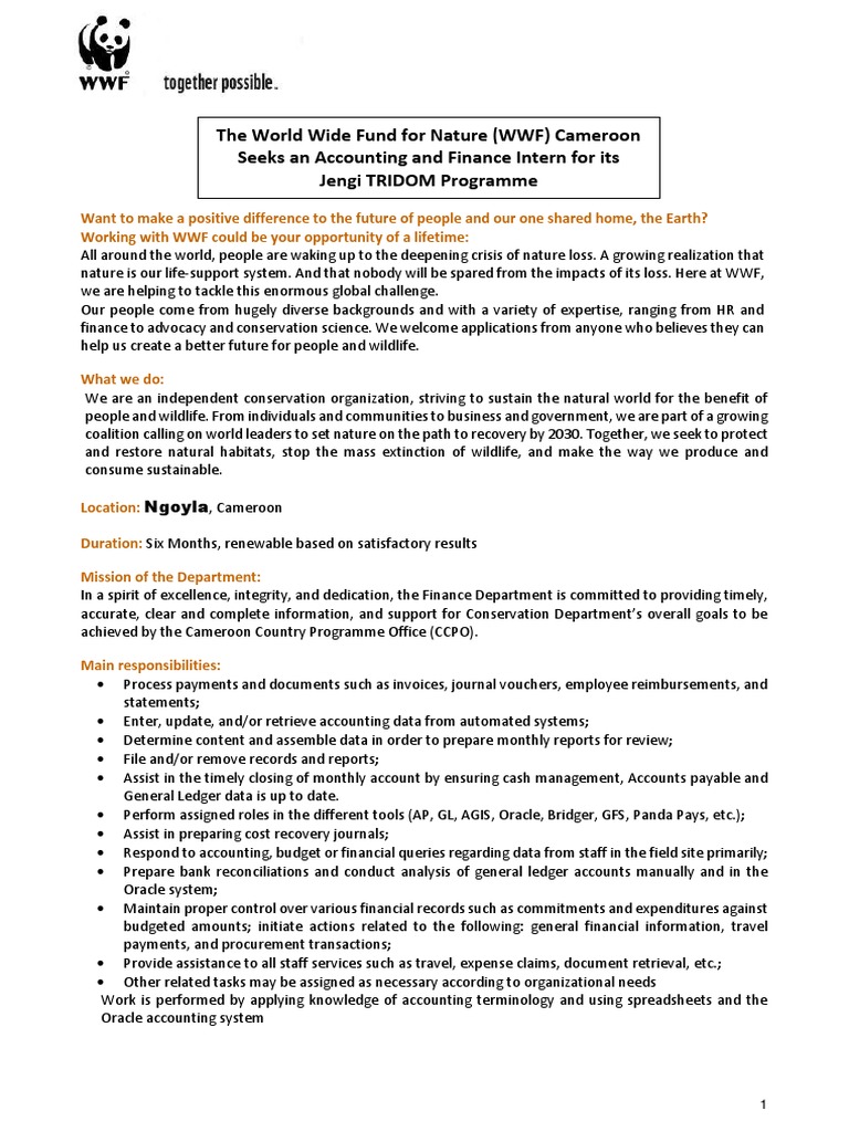 Job Advert Accounting Intern Tridom | PDF