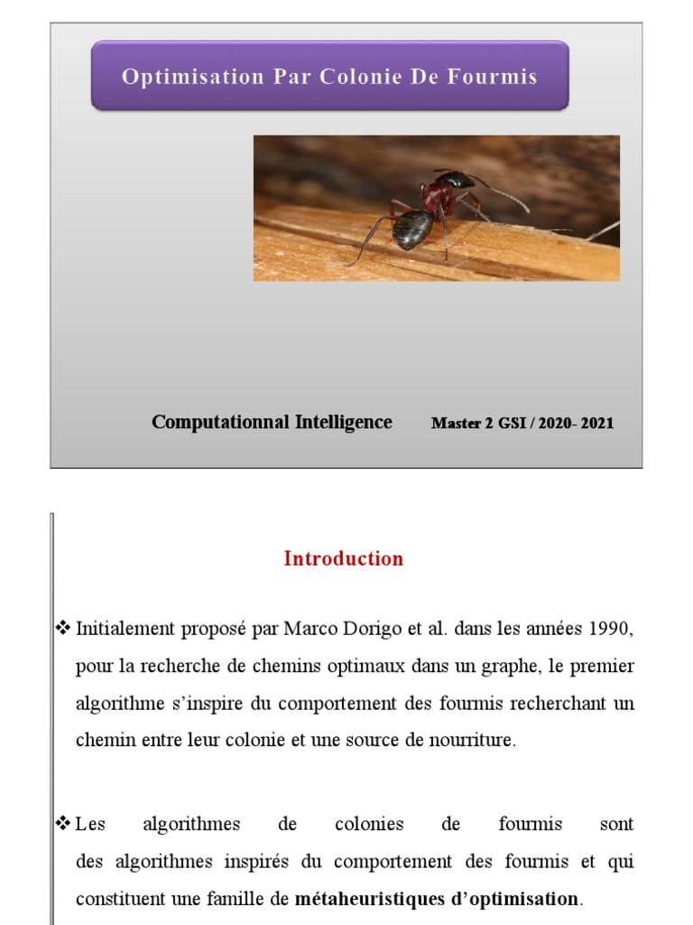 Algorithmes d'Optimisation par Colonies de Fourmis | PDF | Algorithmes et structures de données ...