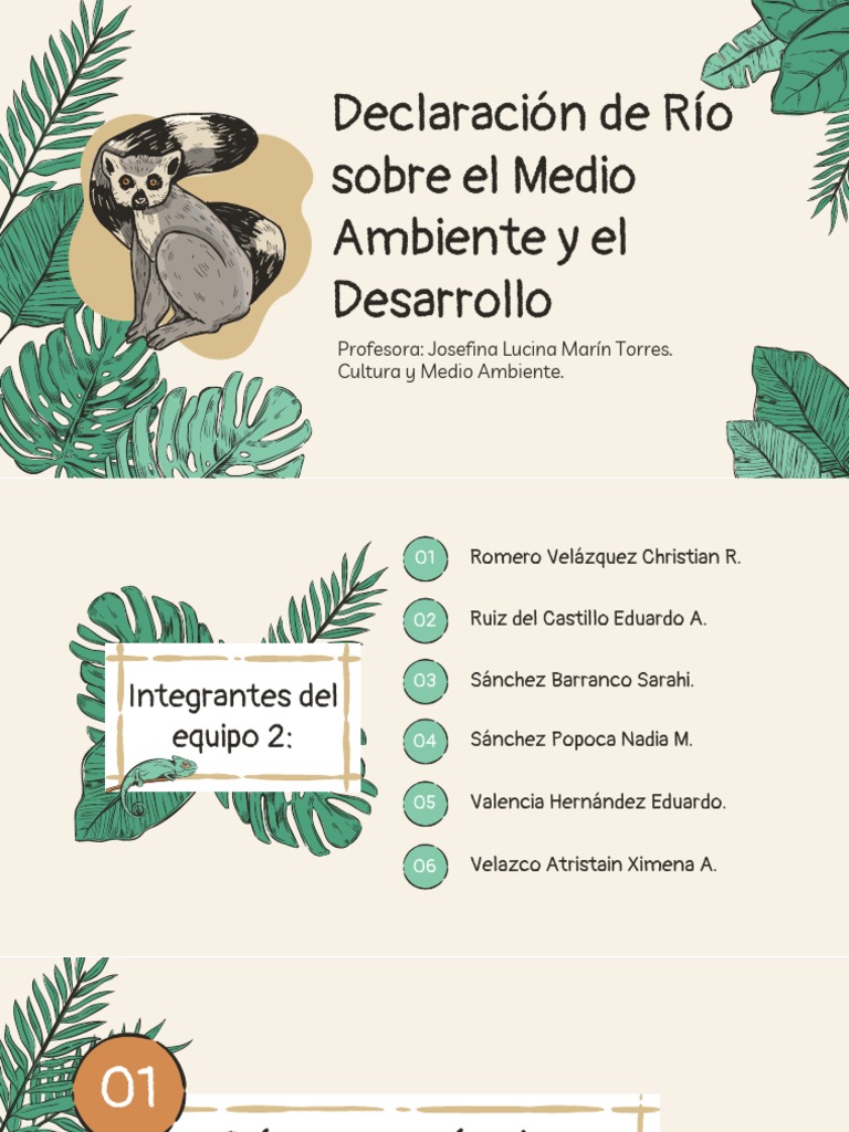 Declaración de Río Sobre El Medio Ambiente y El Desarrollo | Descargar ...