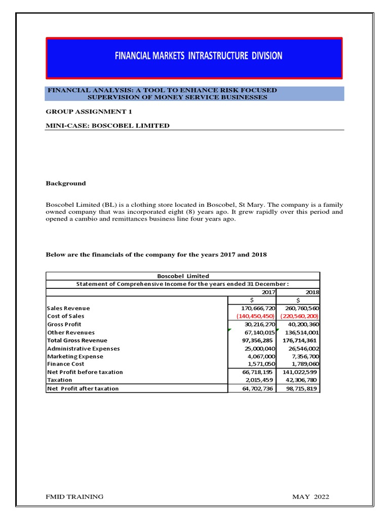 Financial Analysis Mini Case Norbrook Group B Pdf Revenue