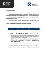 Cuestionario CAMIR-R de Apego | PDF | Familia | Sicología