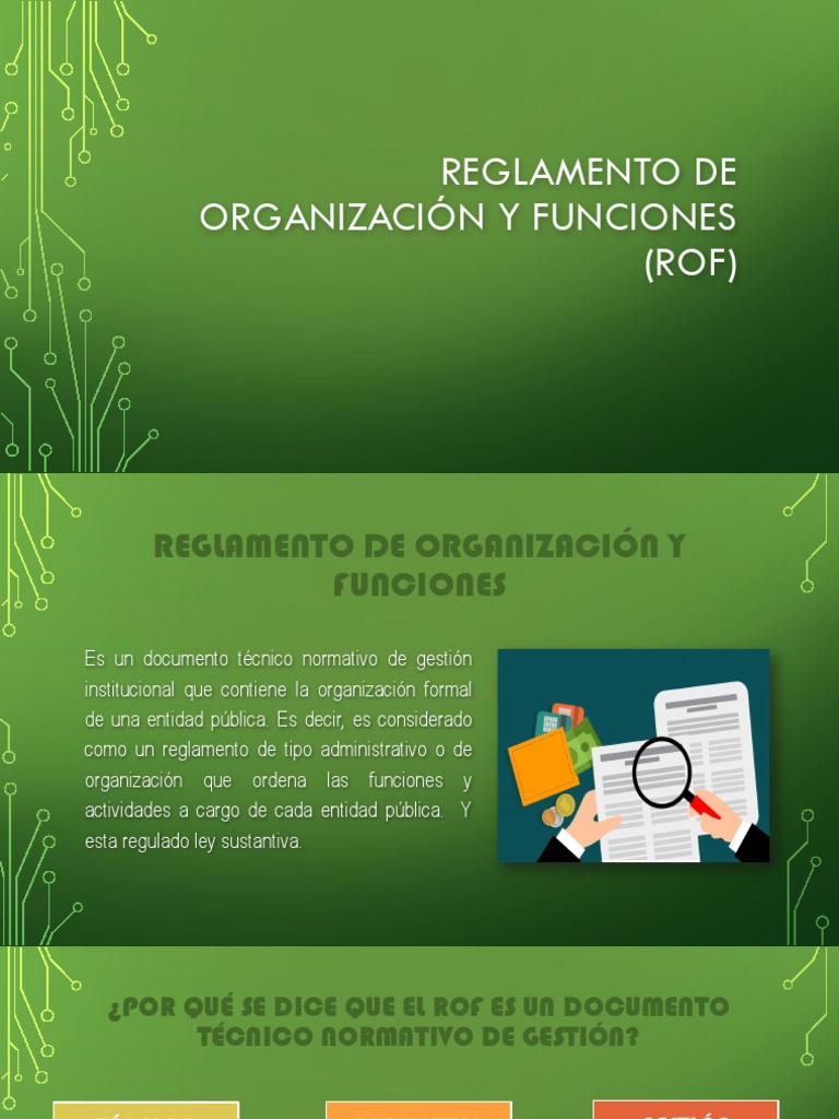 Reglamento de Organización y Funciones | PDF