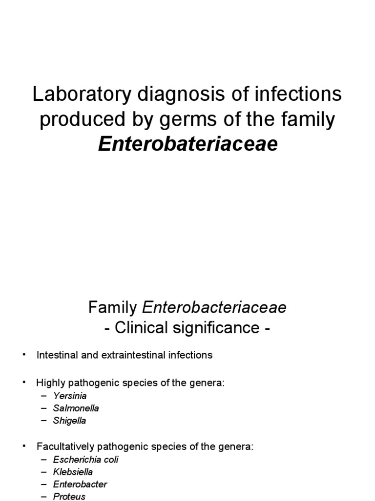 Enterobacteriaceae Infection Diagnosis Guide | PDF | Salmonella ...
