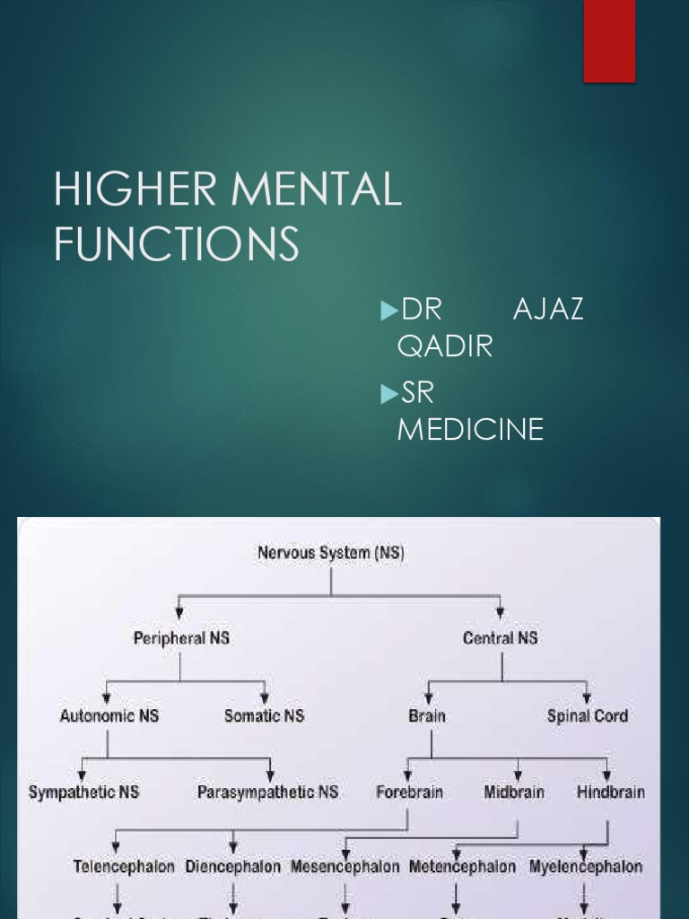 Higher Mental Function | PDF | Memory | Recall (Memory)
