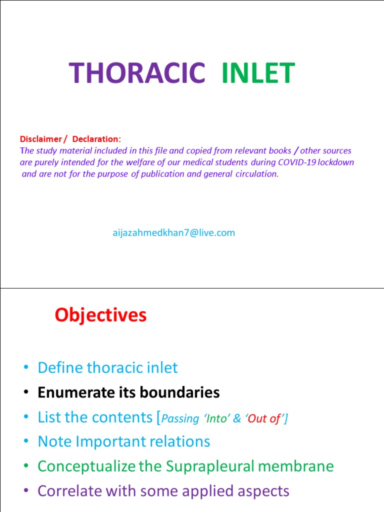 Thoracic: Inlet | PDF | Human Head And Neck | Anatomy