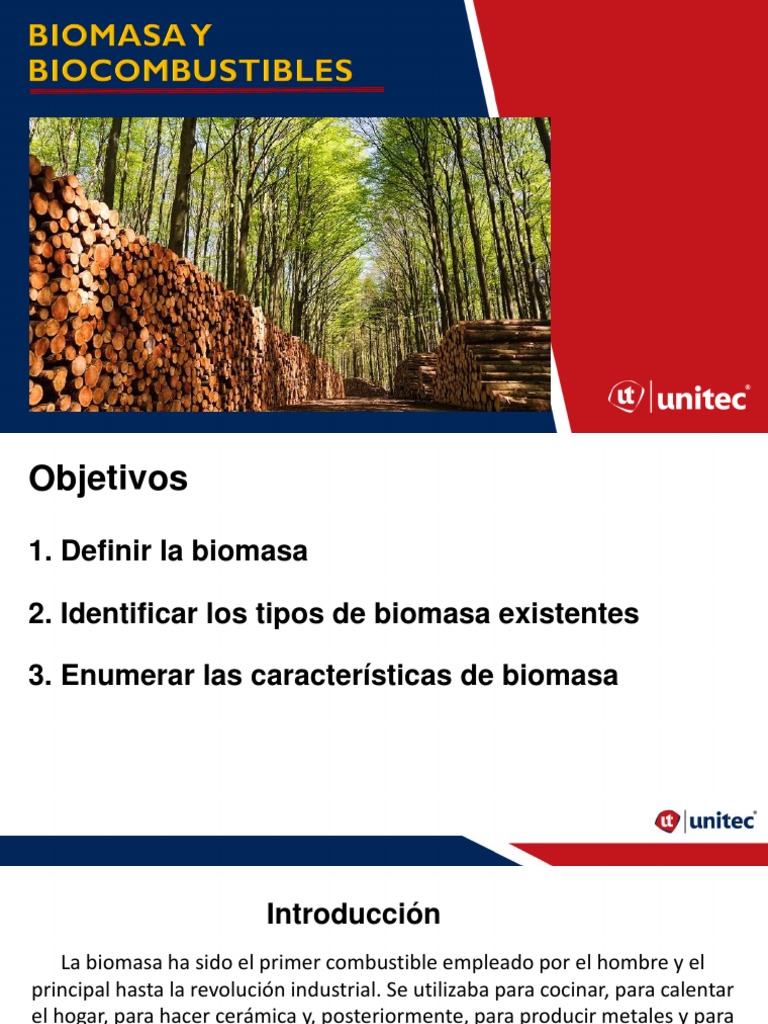 Semana 3 - Introducción A Las Biomasas - Oficial | PDF | Biomasa ...