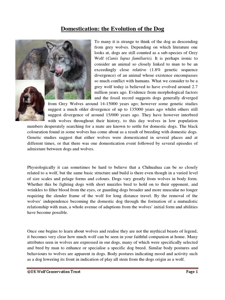 Domestication | PDF | Dogs | Domestication