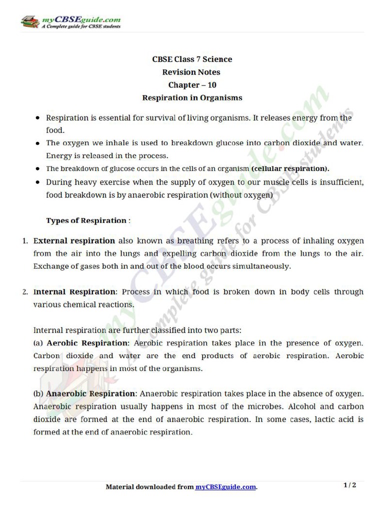 07 Science Key Notes ch10 Respiration in Organisms-1 | PDF