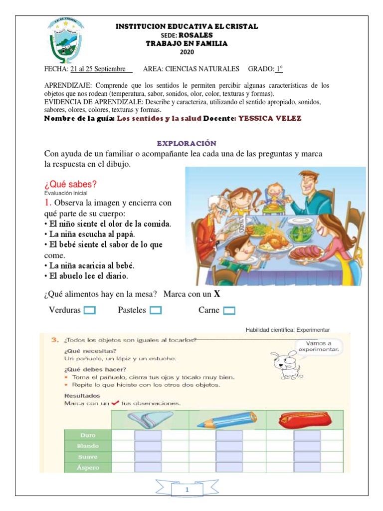 1° CIENCIAS Los Sentidos | PDF | Gusto | Alimentos
