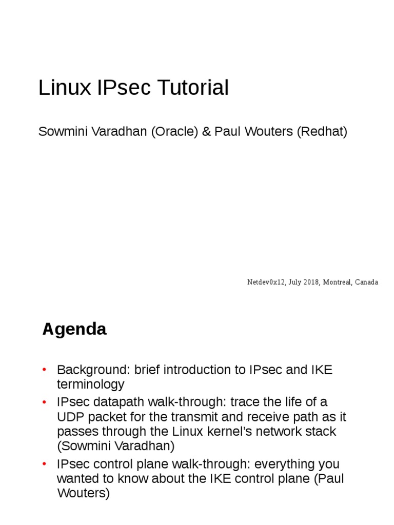 Netdev 0x12 Ipsec Flow | Download Free PDF | Computer Networking | Service Industries