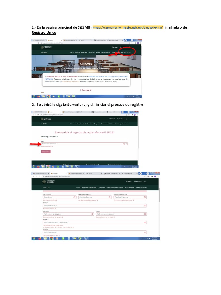 Guia para Ingresa A Curso Virtual de mhGAP | PDF