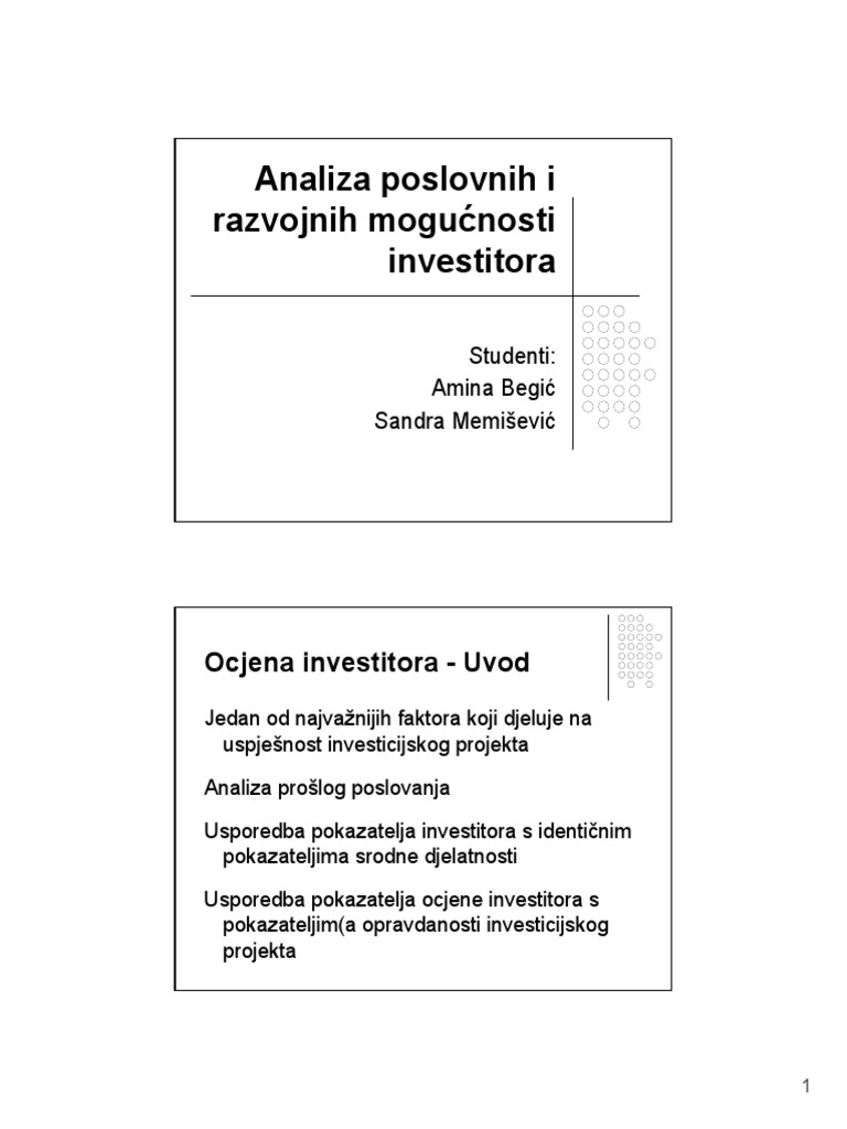 Analiza Poslovnih I Razvojnih Mogućnosti Investitora | PDF