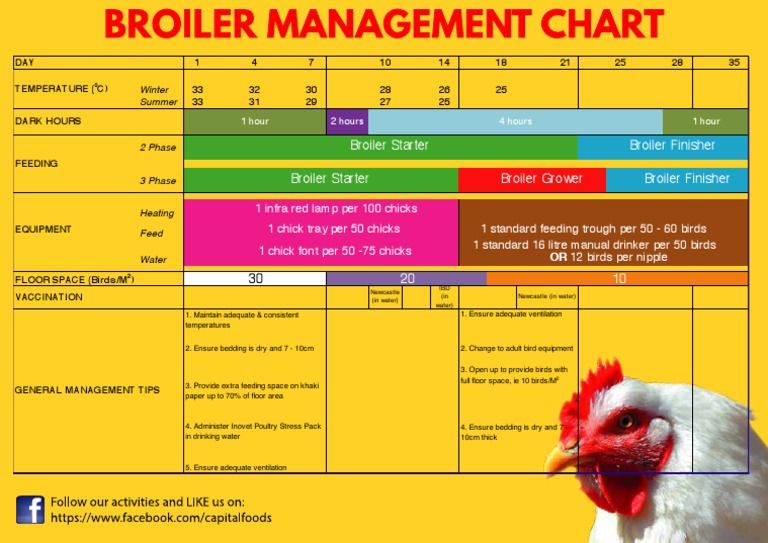 CAPITAL FOODS Broiler Management Chart A5amended | PDF | Broiler ...