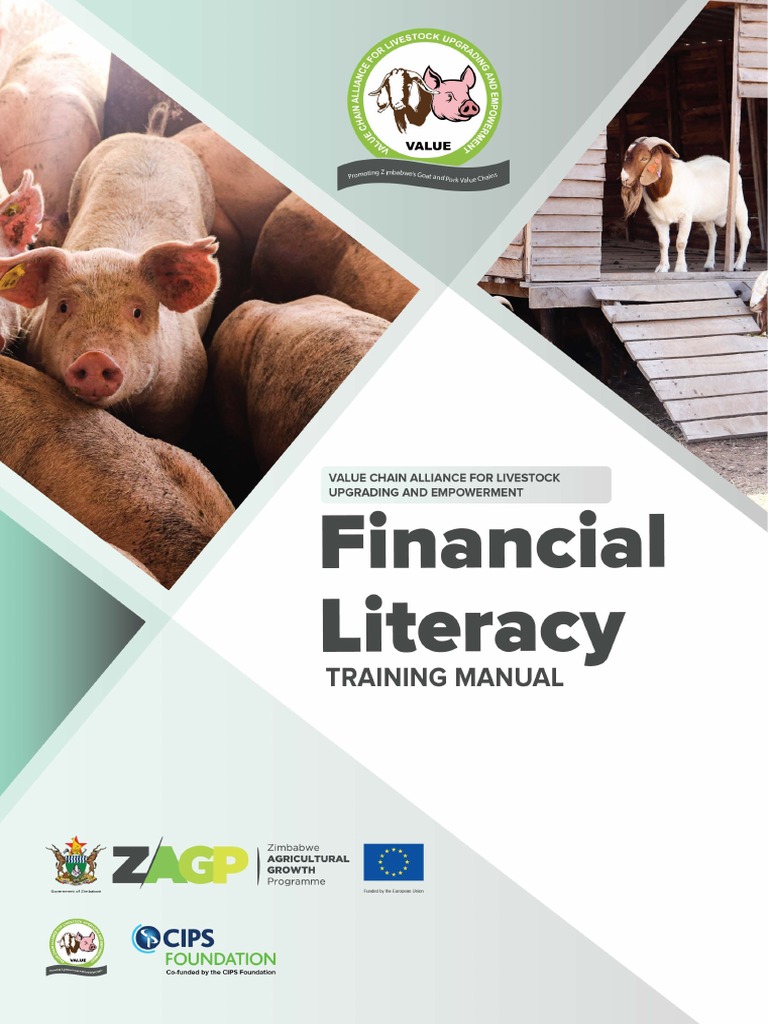 Literacy: Financial | PDF | Debits And Credits | Expense