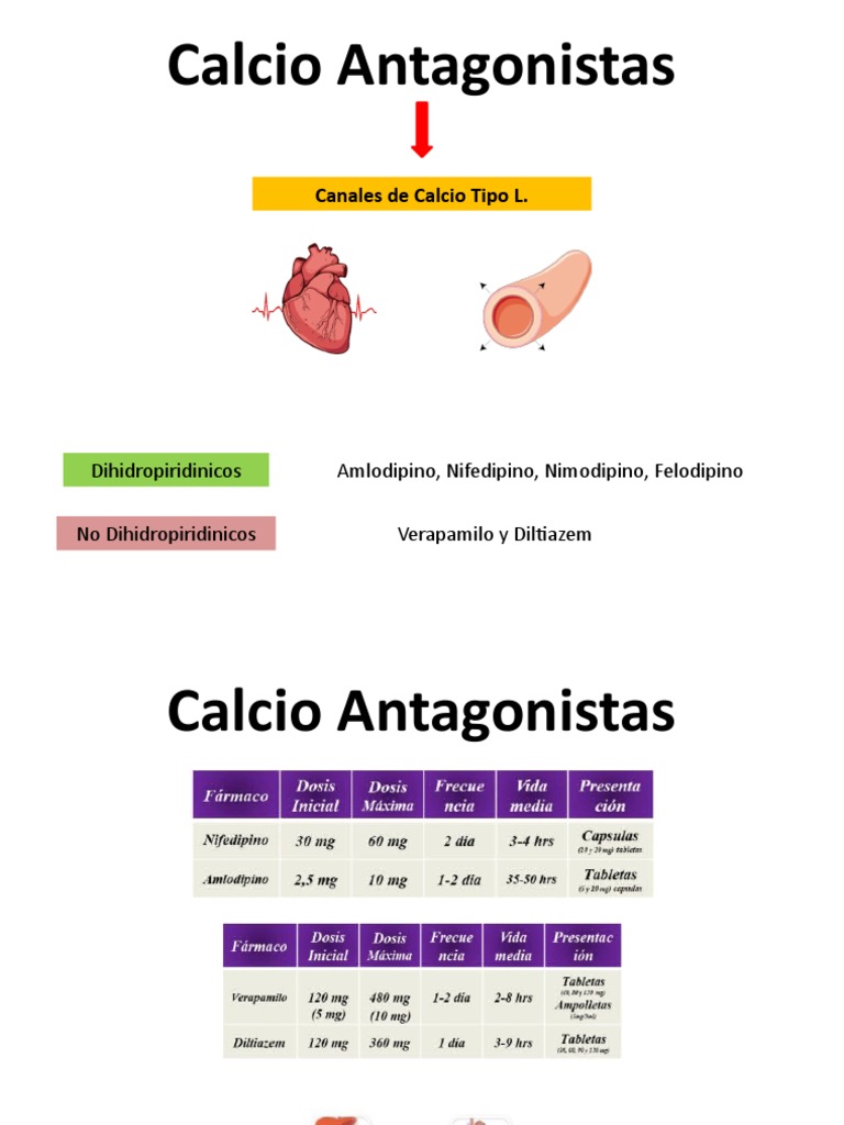 Los principales tipos de antagonistas de calcio y sus usos médicos más ...