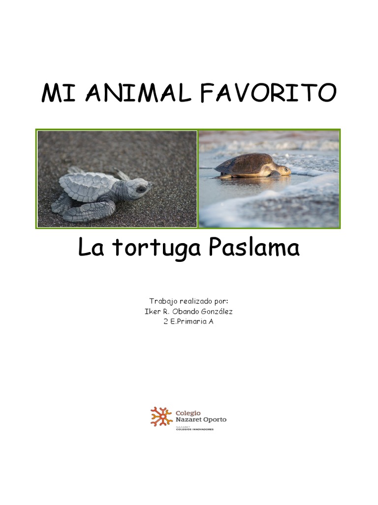 Trabajo - Portada Tortuga | PDF