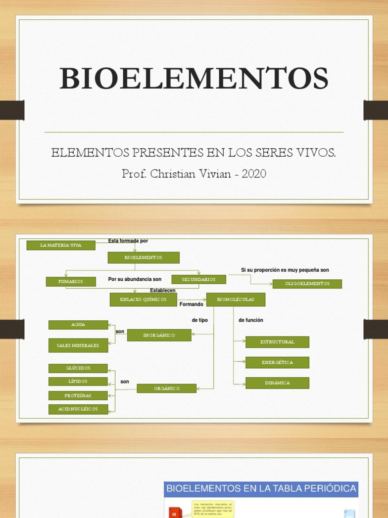 BIOELEMENTOS | PDF | Enlace covalente | Biomoléculas