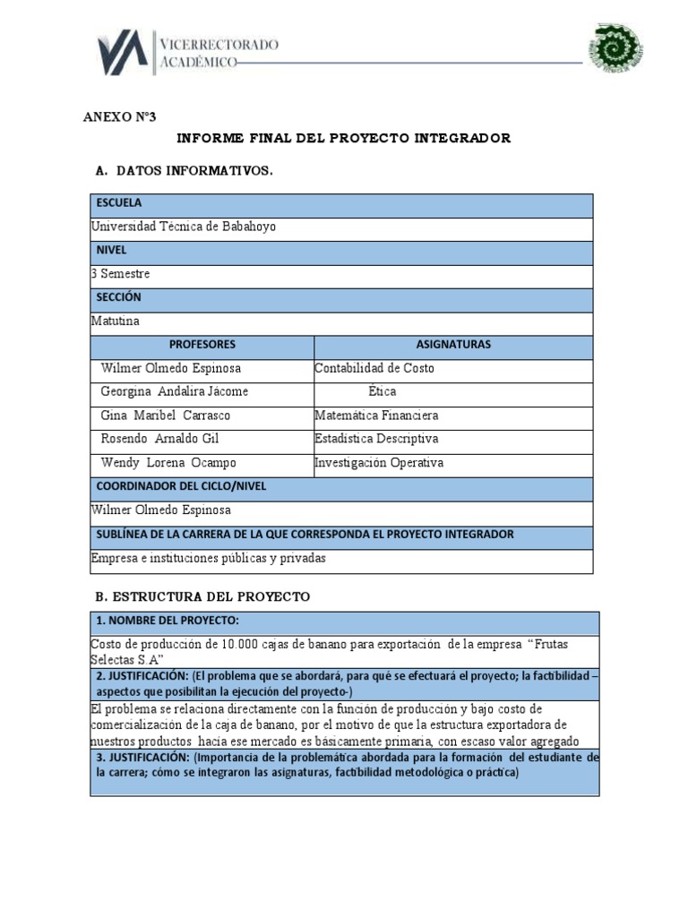 Anexo Nº3 Informe Final Del Proyecto Integrador | PDF | Marketing | Ecuador