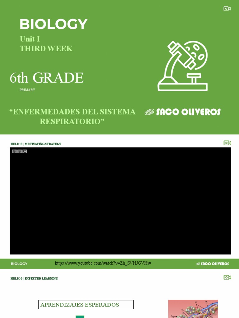 b6 - U1 - s3 - Enfermedades Del S. R | PDF | Pulmón | Sistema respiratorio