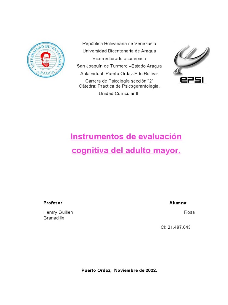 Informe Interpretativo Rosa Granadillo | PDF | Memoria | Adultos