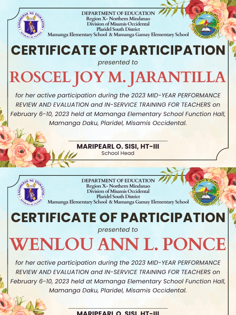 INSET Certificate (Participation) | PDF | Philippines