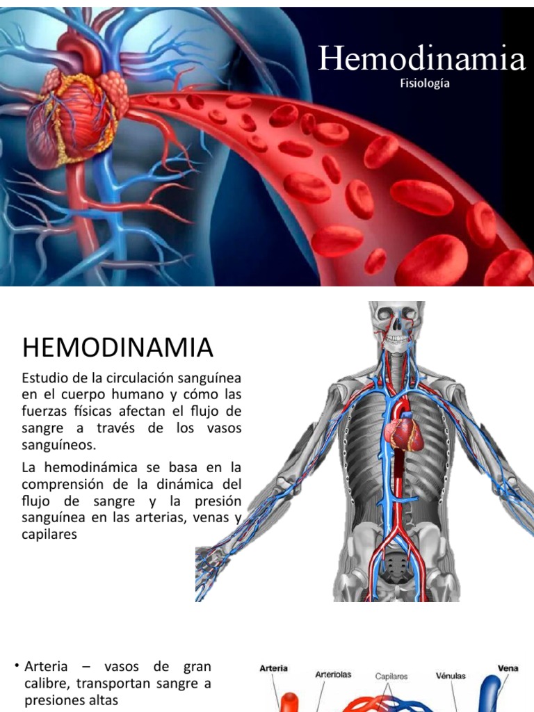 Hemodinamia | PDF | Hemodinámica | Sistema circulatorio