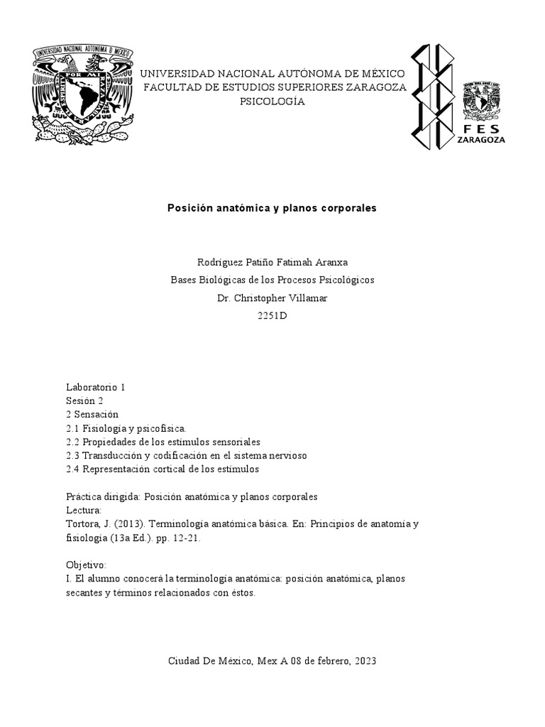 CP2. Posición Anatómica y Planos Corporales | Descargar gratis PDF ...