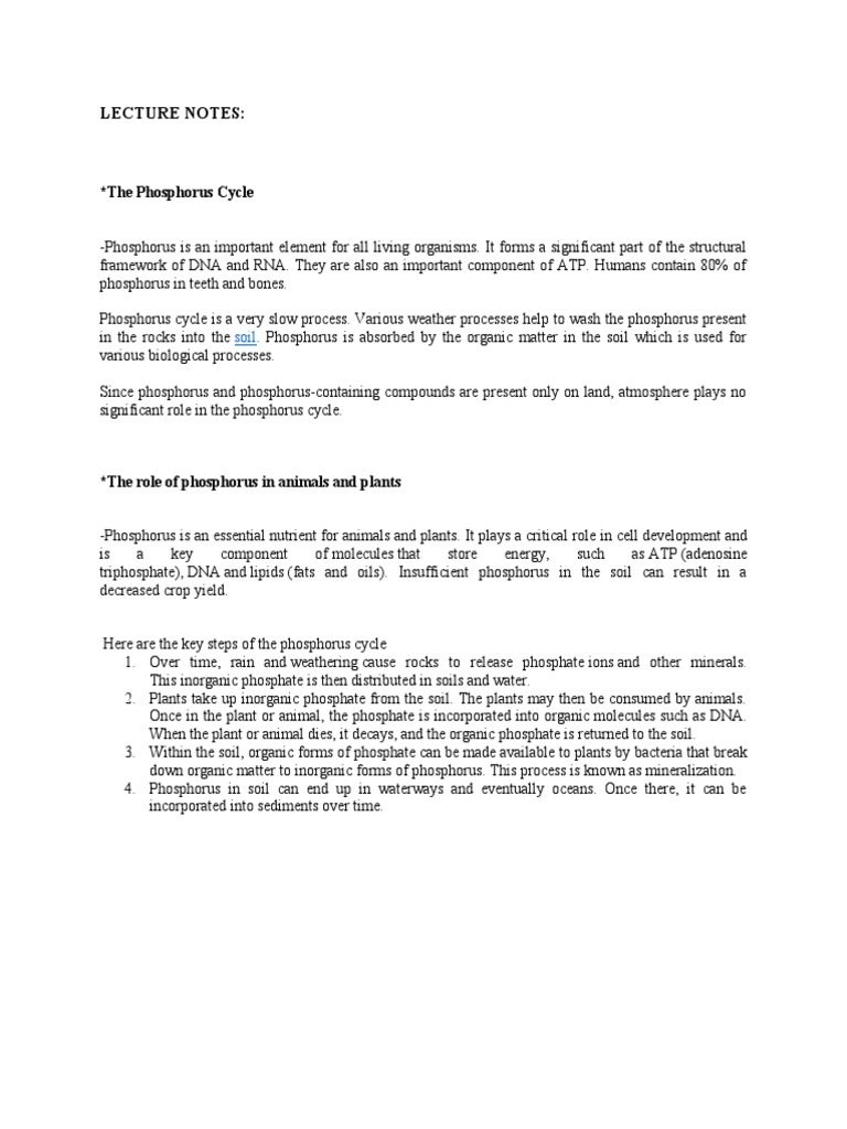 The Phosphorus Cycle - Lecture Notes | PDF