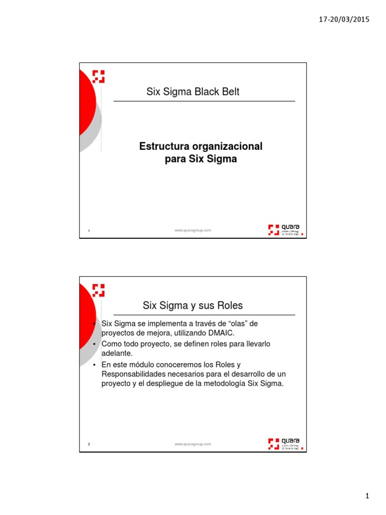 1.03 Estructura Organizacional 6sigma-01 | PDF | Six Sigma | Negocios económicos
