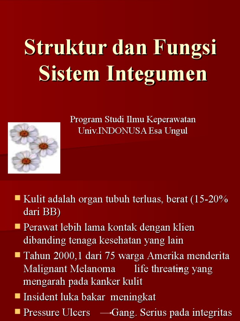 Struktur Dan Fungsi Sistem Integumen | PDF