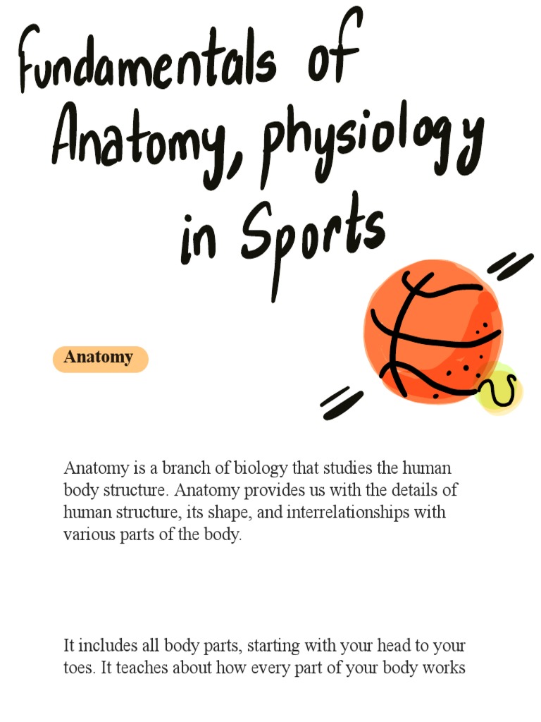 fundamentals of Anatomy, physiology in sports-1 | PDF | Respiratory ...