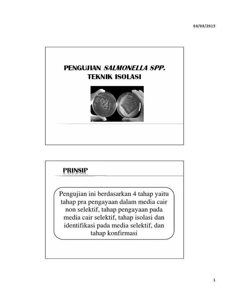 Pengujian Salmonella | PDF