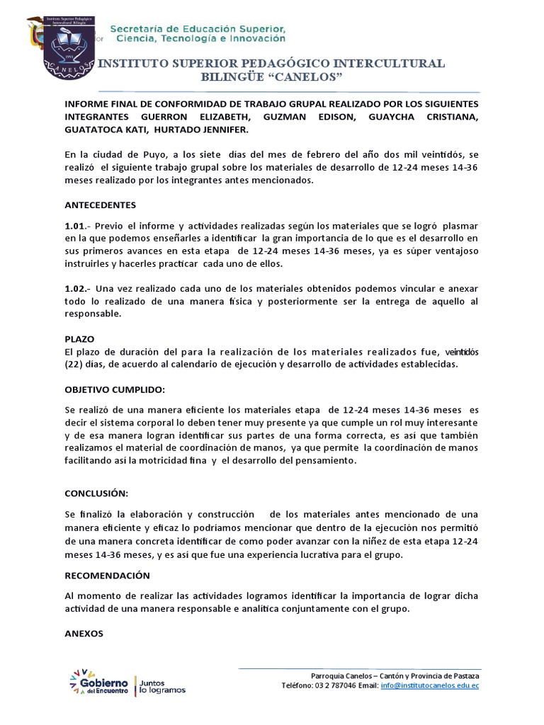 Informe Grupal 3 | PDF