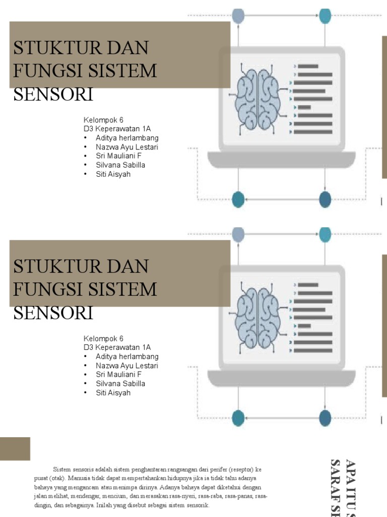 Struktur Dan Fungsi Sistem Sensori | PDF Struktur Dan Fungsi Sistem Sensori | PDF
